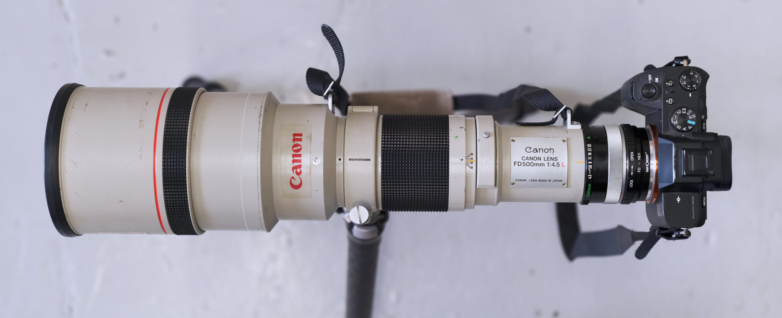 Canon FD 500mm f4.5 Vintage Lens - Marshall J Vanderhoof Photography